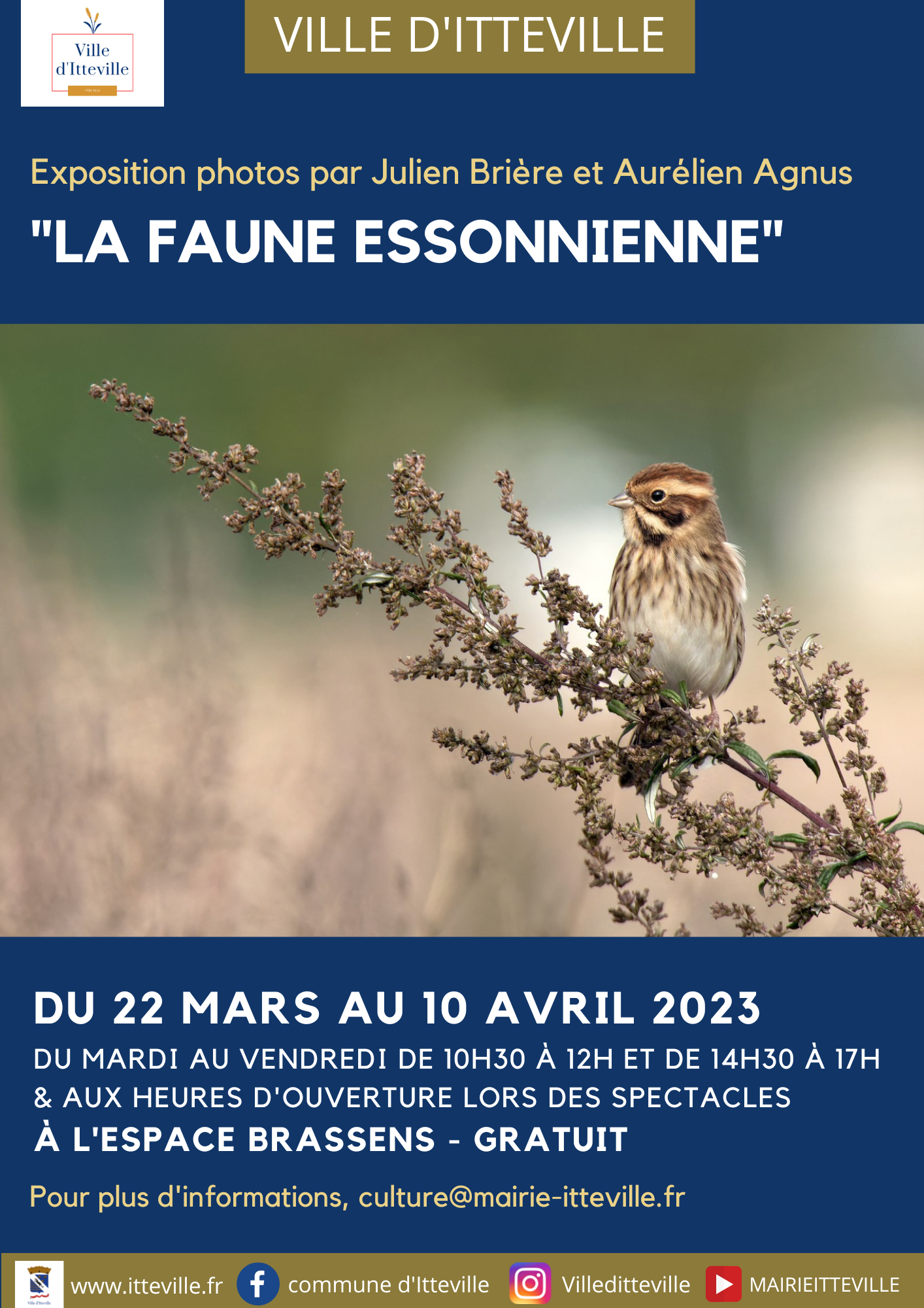 Expo : La faune essonnienne - CC Val d'Essonne